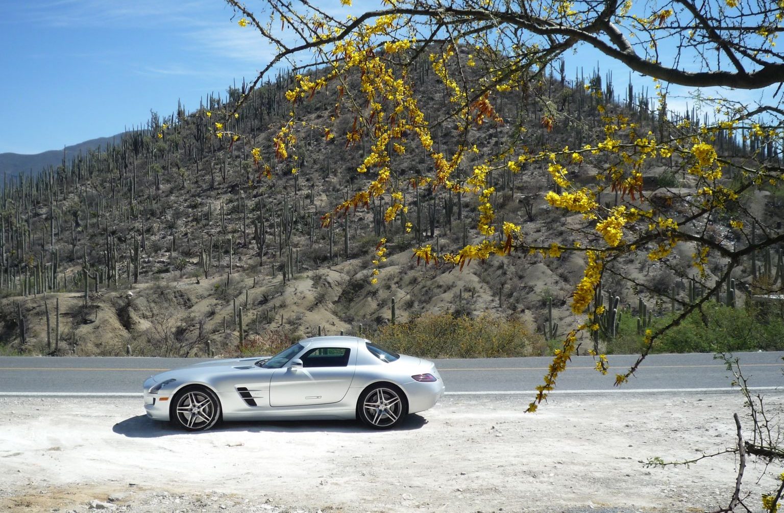 Mexican rave - The Intercooler